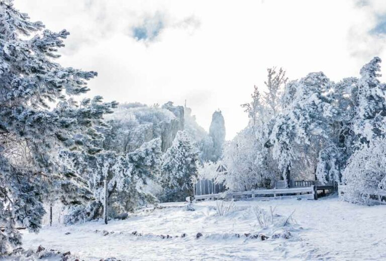 Escapely - Fun Winter Team Building Activities