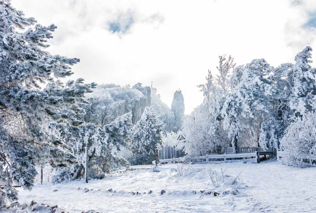 Escapely - Fun Winter Team Building Activities